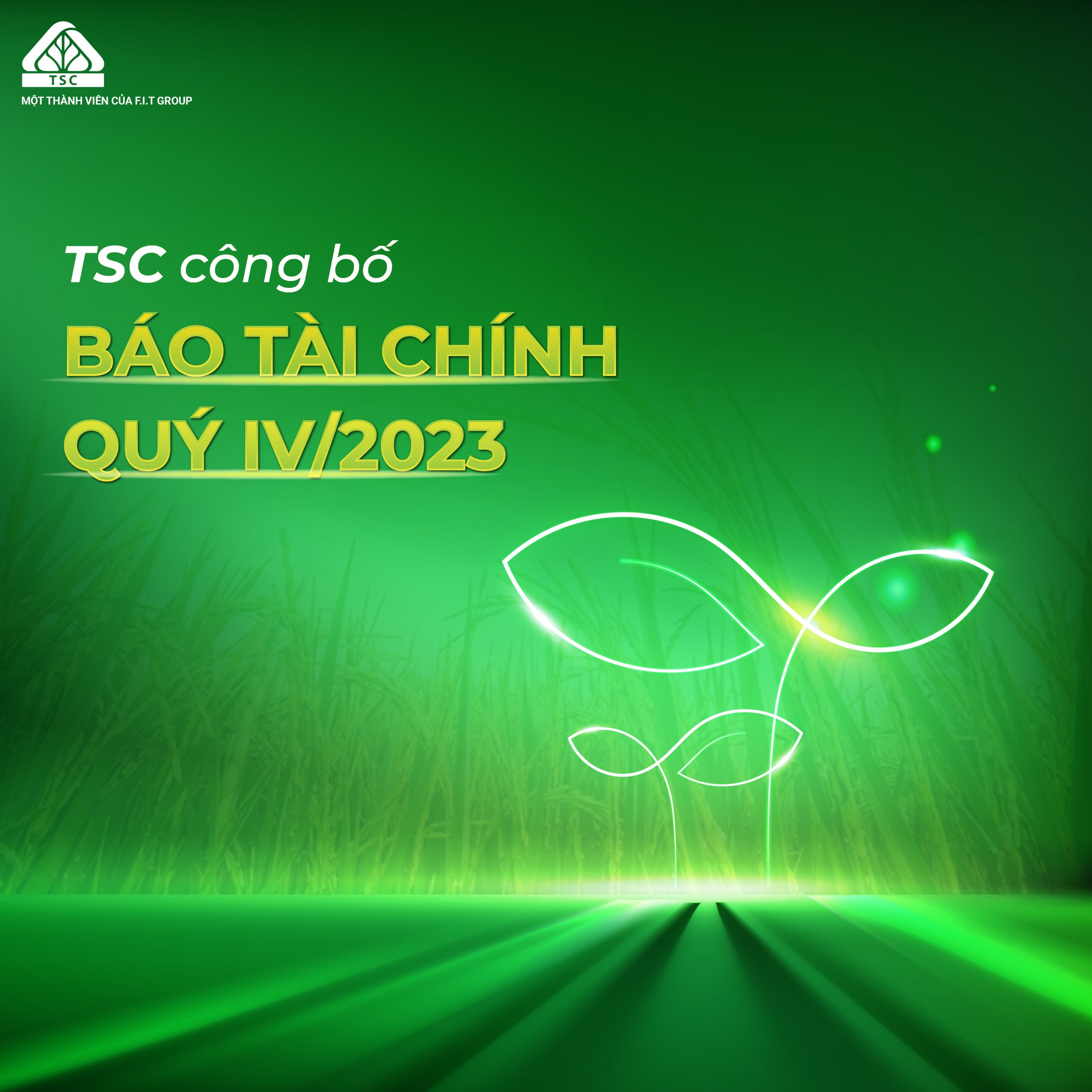 TSC Released Financial Statements for Q4/2023 - F.I.T Group